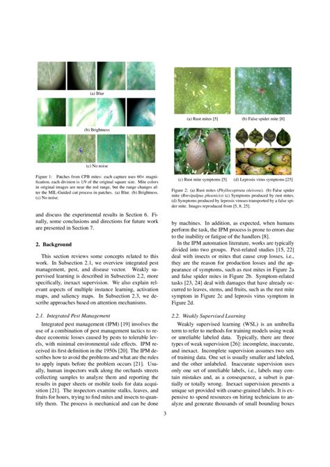 Weakly Supervised Attention Based Models Using Activation Maps For