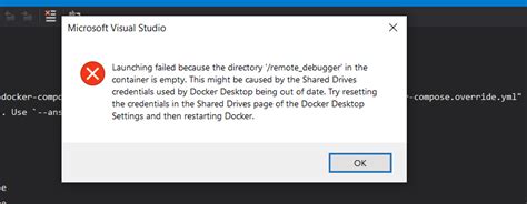 Visual Studio Launching Failed Because Directory Remote Debugger In The Container Is Empty