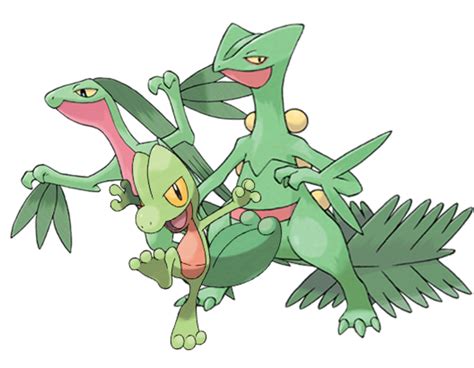 Treecko Pokemon Vector Free Png
