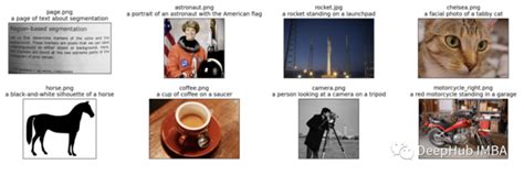 人工智能 使用pytorch进行小样本学习的图像分类 Deephub Segmentfault 思否