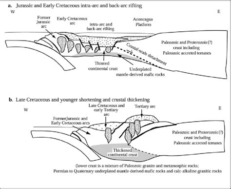 A B Simplified Sequential Cross Sections Showing The Progressive