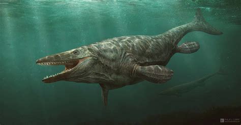Most Basal Tetrapodomorphs Dinoera