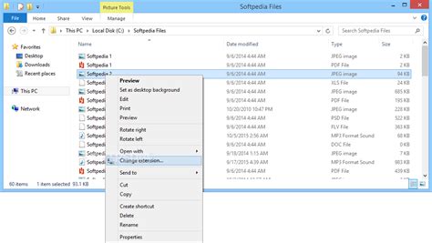 Shell Extension Renamer Download Free Windows 1 0 1 Softpedia
