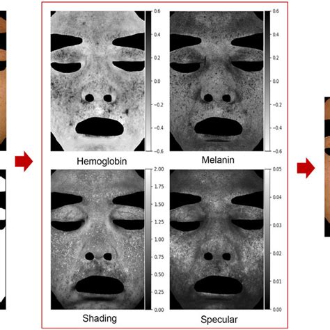 Hemoglobin And Melanin Analysis Results From The Proposed Model Download Scientific Diagram