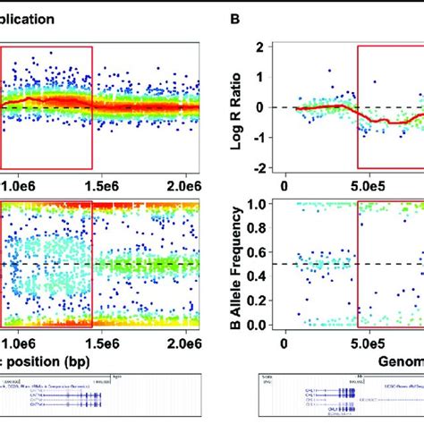 Point Density Plots Of The Log R Ratio And B Allele Frequency For Download Scientific Diagram