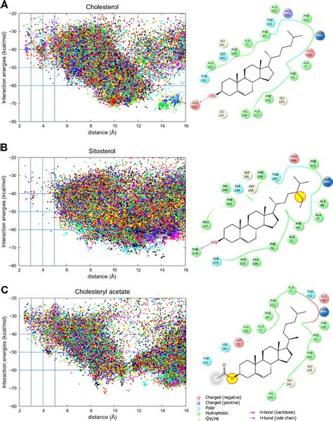 Results From Pele 20 Simulations For Cholesterol A Sitosterol B Download Scientific