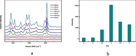 Reusable Nanosilver Coated Magnetic Particles For Ultrasensitive Sers