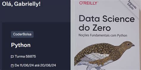 Python Coderhouse Aprendizado Tecnologia Datascience Gabrielly Silva