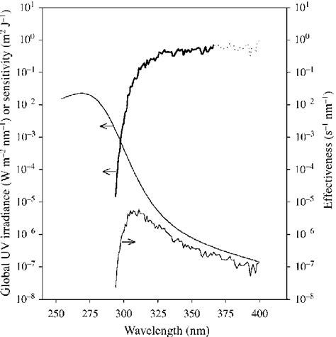 Biological Weighting Of Uv Radiation Solar Spectral Irradiance At The