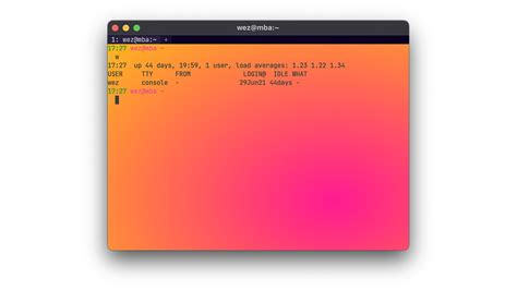 Wezs Terminal Emulator Flathub