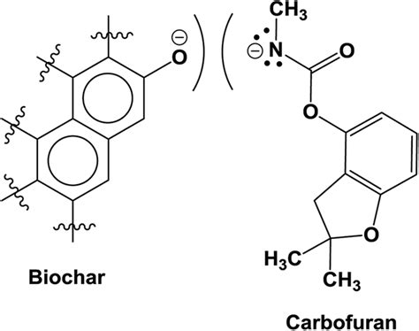 Aqueous Carbofuran Removal Using Slow Pyrolyzed Sugarcane Bagasse Biochar Equilibrium And Fixed