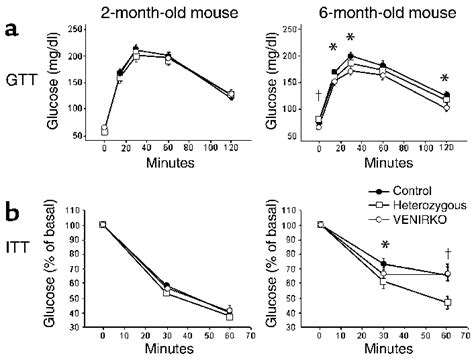 Gtts And Itts At 2 And 6 Months Of Age A Gtt At 2 Left And 6