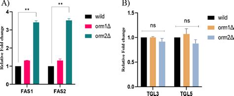 Orm2 Deletion Upregulated The Expression Of Fatty Acid Synthesizing Download Scientific Diagram