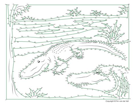 Extreme Dot To Dot Alligator Printable Pdf
