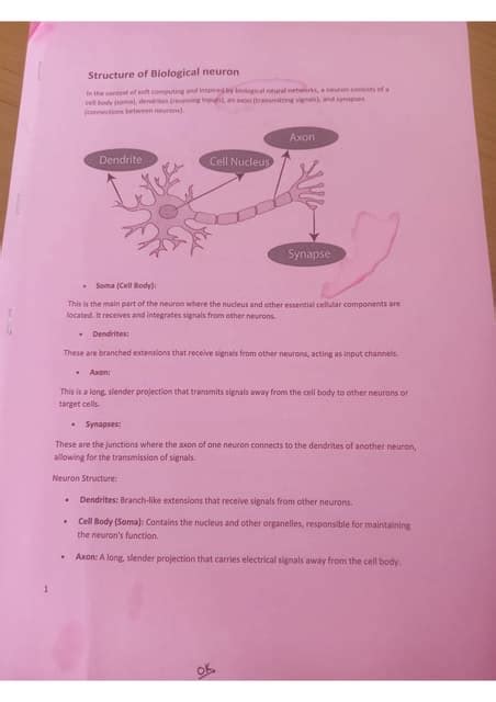Btech Computer Science Engineering 3 Year Pdf