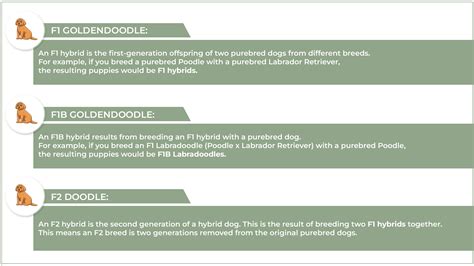 Difference Between F F B And F Doodle The Doodle Tribe