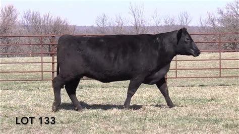 Lot 133 Worthington Niagara 0311 Youtube