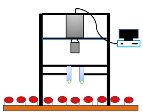 Hyperspectral Line By Line Scanning System For Acquiring Reflectance Download Scientific