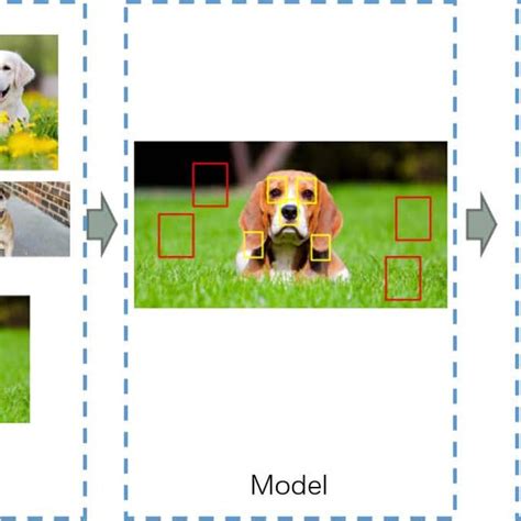 Illustration Example Of How The Distribution Shifts Between Training Download Scientific