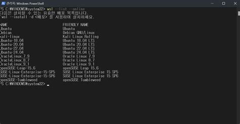 Windows 11 Wsl2 Ubuntu 18 04 설치