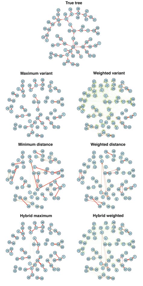 simulated and reconstructed transmission trees the simulated tree a