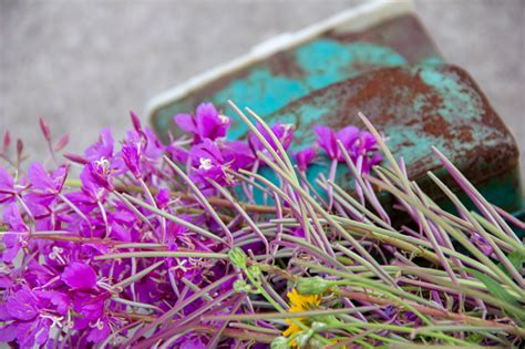 부식의 흔적장난감 금속 기계 기계의 땀샘에 녹을 자동차로 화초의 꽃 0명에 대한 스톡 사진 및 기타 이미지 0명 기계류 꽃 나무 Istock