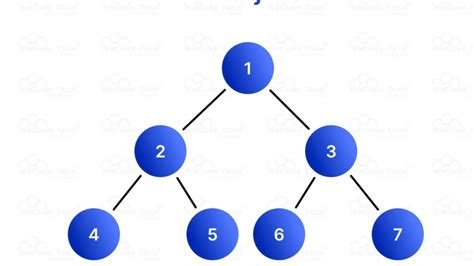 Lets Explore A Treee