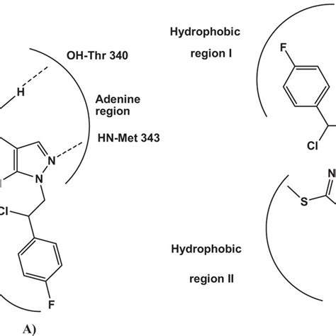 A Binding Of Compound 29 Into Atp Binding Site Of Src Enzyme B Binding