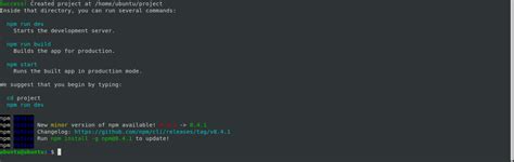 How To Install Nextjs Nucleio Information Services