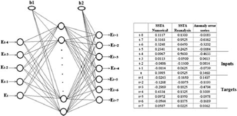 typical feed forward nn input hidden output neurons are 5 28 and