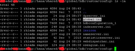SAP Basis And HANA HANA Parameter Change Activity