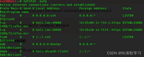 linux如何查看端口是否开放？ linux查看端口是否开放 csdn博客