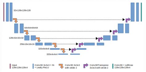 Building Medical D Image Segmentation Using Jupyter Notebooks From The NGC Catalog NVIDIA