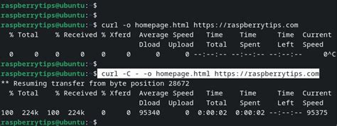 How To Download Files On Linux Using Terminal Raspberrytips