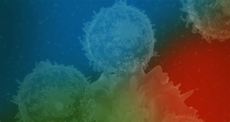 Better By Design Single Cell Characterization For Enhanced Cell