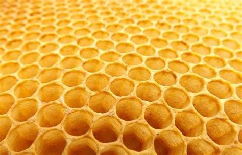 Trypophobia Symptoms Causes Prevention Diagnosis Treatment