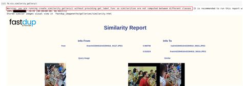 Bug Labels Not Loaded Into Gallery View · Issue 185 · Visual Layer