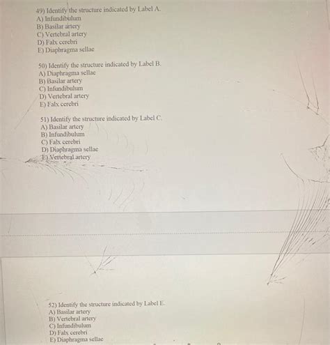 Solved A B N M Using The Above Referenced Diagram Exhibiting
