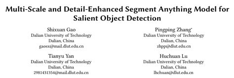 【acmmm2024】multi Scale And Detail Enhanced Segment Anything Model For Salient Object Detection