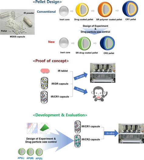 Summary Of The Experiment Download Scientific Diagram