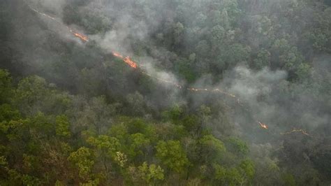 เชียงใหม่ประกาศเขตภัยพิบัติไฟป่าแล้ว2อำเภอคลุม3ตำบล เร่งระดมความช่วยเหลือ ปชช หลังไฟยังลามหนัก