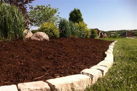 Mulch Matters Organic Vs Inorganic Mulch Otter Creek Lawncare