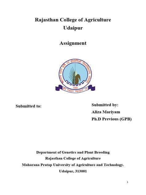 Assignment Of Computer Pdf Microsoft Excel Databases