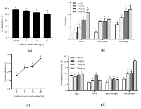 Effects Of Long Term Cadmium Exposure On The Development Of