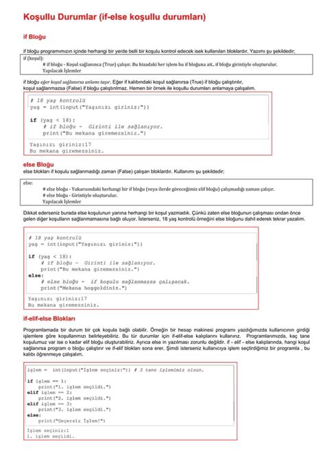 python programlama dilleri ders notlari pdf