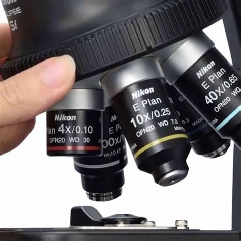 Microscópio Binocular Nikon Eclipse Si Prolab Loja