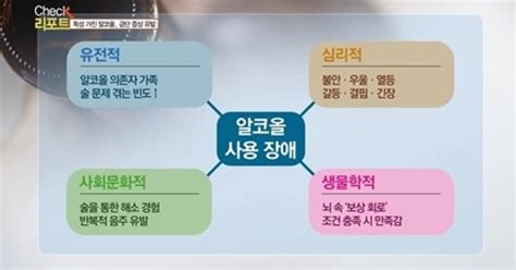 쿠키건강뉴스 체크리포트 중독회로 강화 알코올 사용장애 치료 시점 놓치면 뇌 의존성 회복 안돼축적된 위험인자 50대 심각한 반응으로 발현