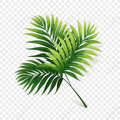 Clipart De Rama De Palma