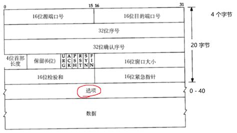 【java Ee初阶】网络原理 Csdn博客