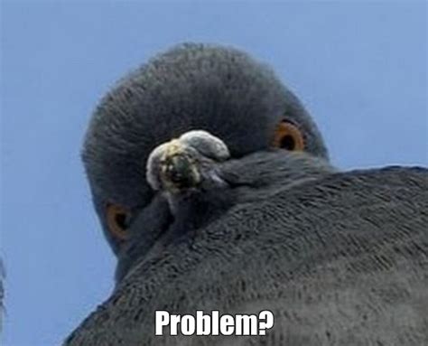 Meme Problem All Templates Meme